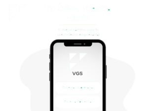VGS - Desarrollo de Software