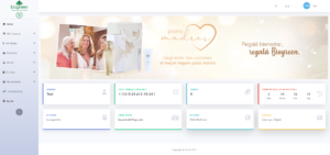 VGS -Desarrollo de Software a Medida